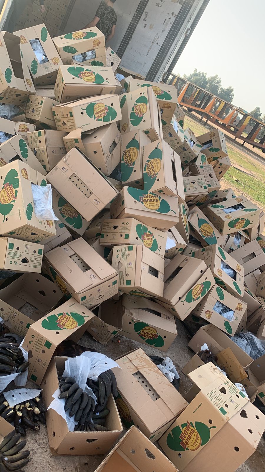 Unveiling the Importance of a Destruction Certificate for Cargo Claims ...