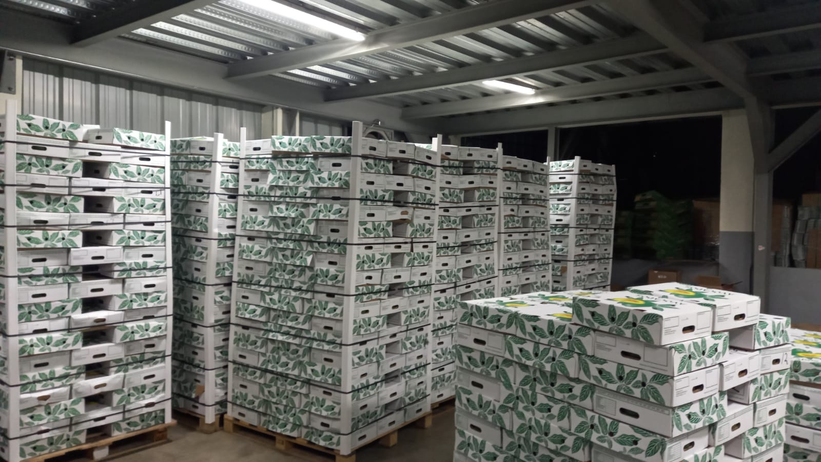 Who is Responsible for Damaged Cargo in a Warehouse? - Recoupex