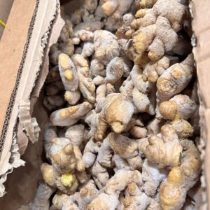 Best Pre-shipment Practices for Transporting Garlic in Reefer ...