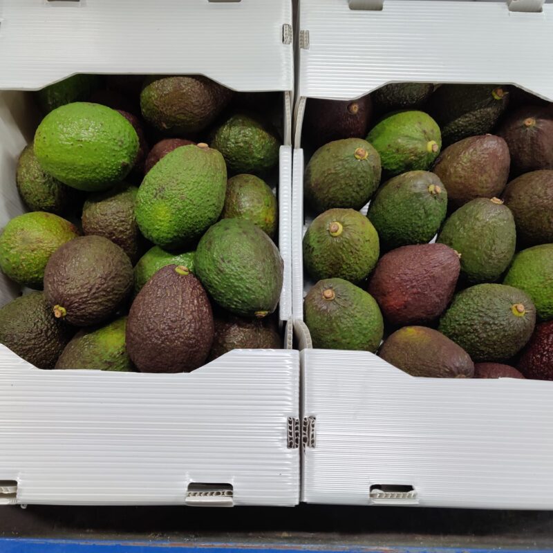 4 Steps Reefer Container Checklist to Avoid Fresh Produce Spoilage ...