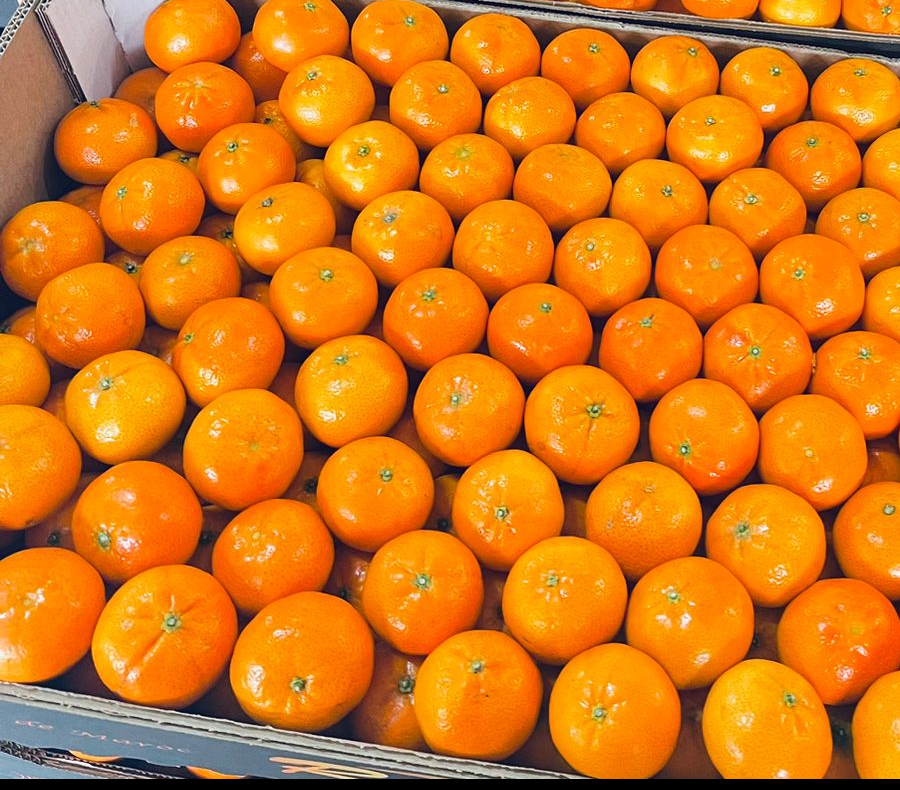 Fast Track Unpaid Invoices Recovery - Recoupex